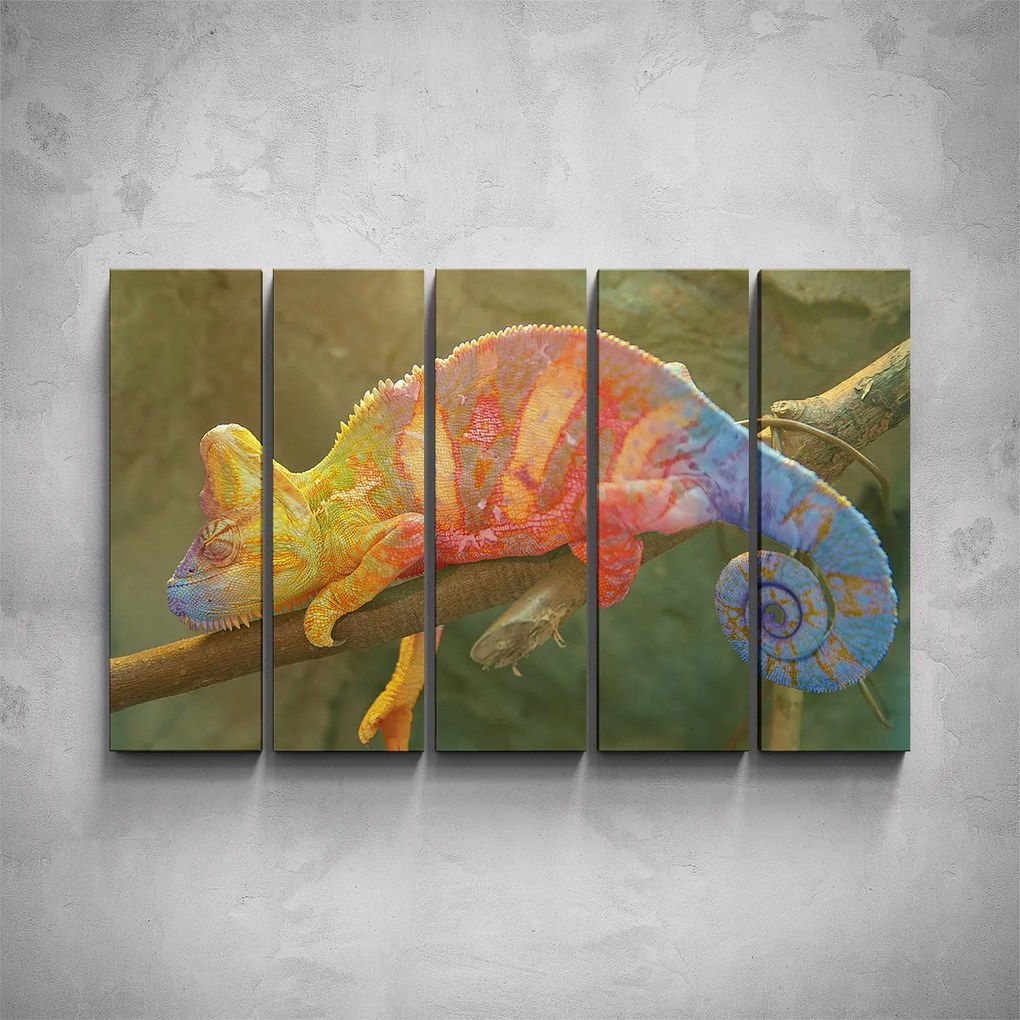 5-dílný obraz - Chameleon - PopyDesign