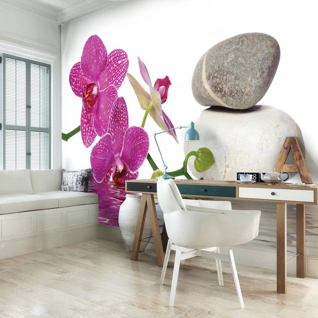 Fototapeta - Orchideje (152,5x104 cm)