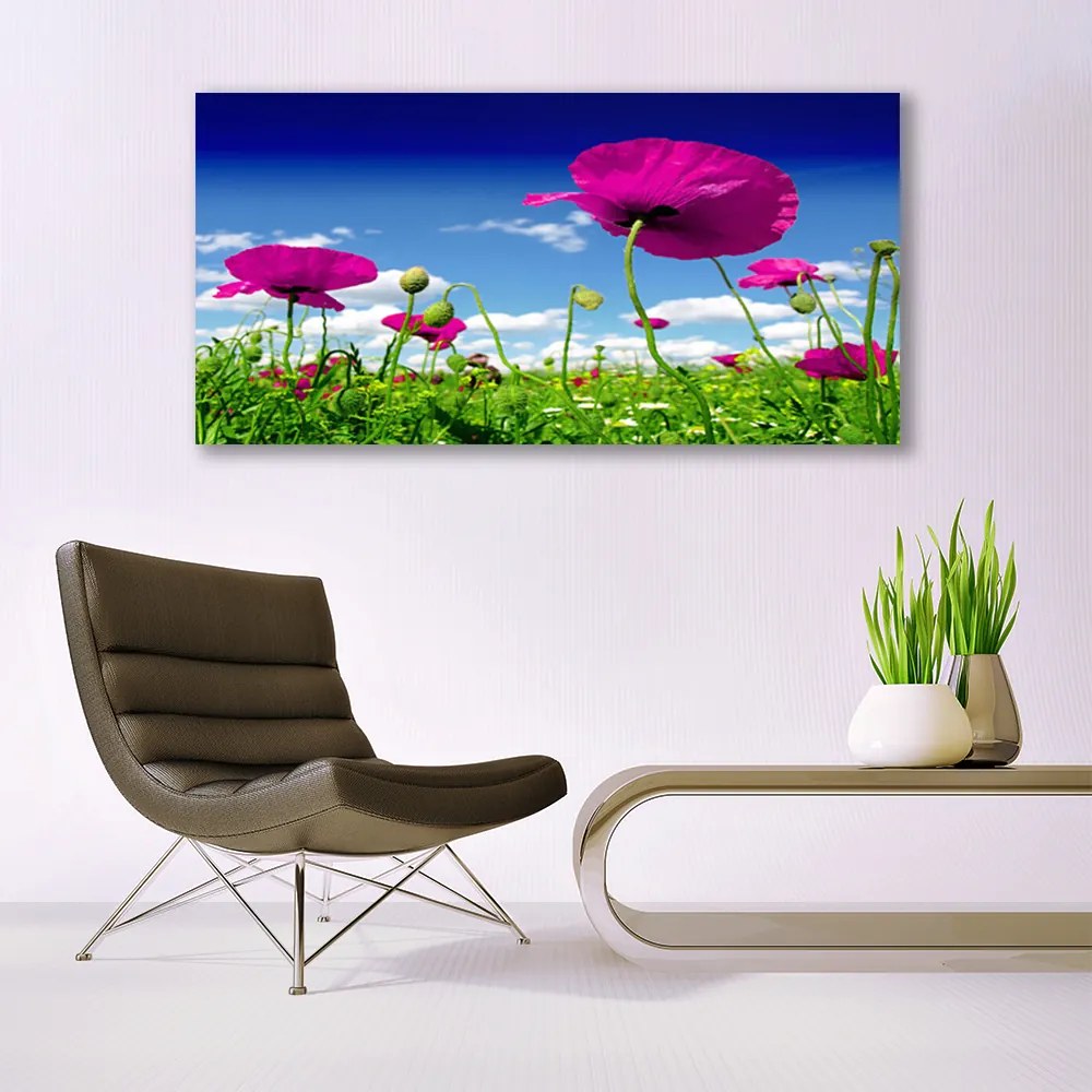 Plexisklo-obraz Louka Květiny Nebe Příroda 120x60 cm
