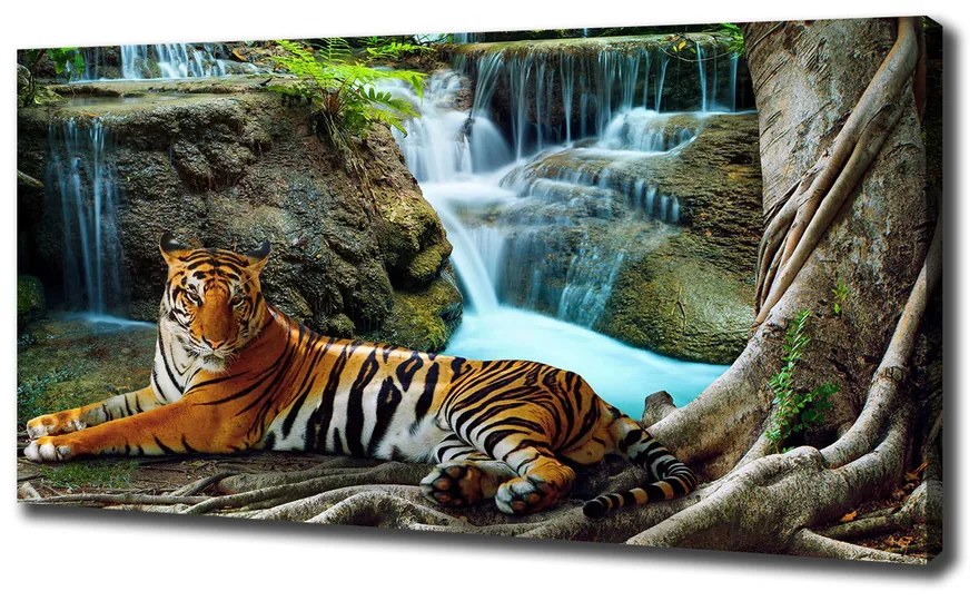 Wallmuralia Foto obraz na plátně Tygr vodopád 140x70 cm