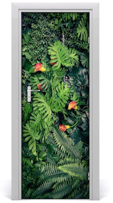 Fototapeta na dveře Tropické rostliny 75x205 cm