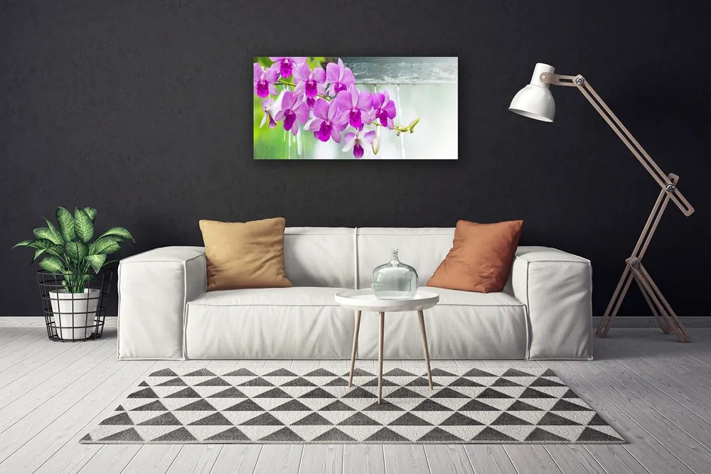 Obraz na plátně Orchideje Kapky Příroda 100x50 cm