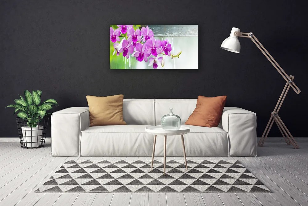 Obraz na plátně Orchideje Kapky Příroda 125x50 cm