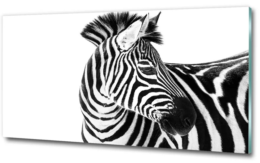 Wallmuralia Foto obraz sklo tvrzené Zebra ve sněhu 100x50