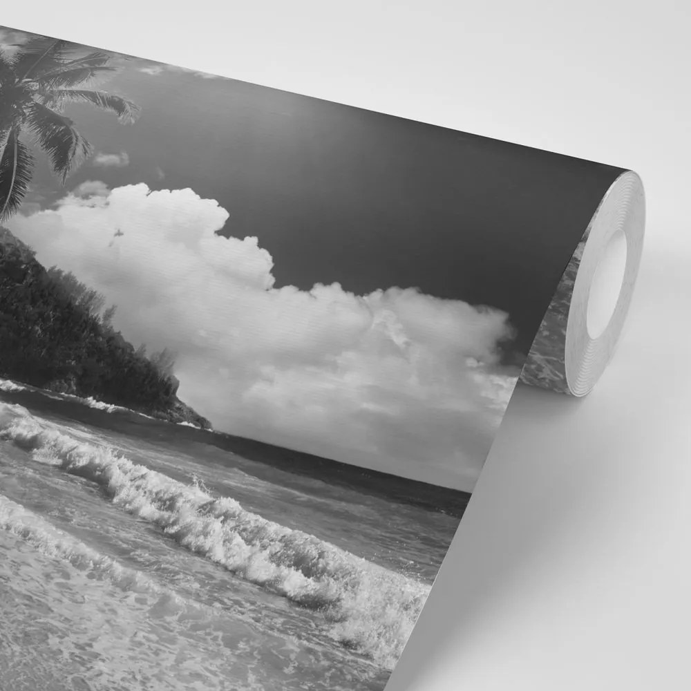 Samolepící fototapeta pláž na ostrově Seychely v černobílém