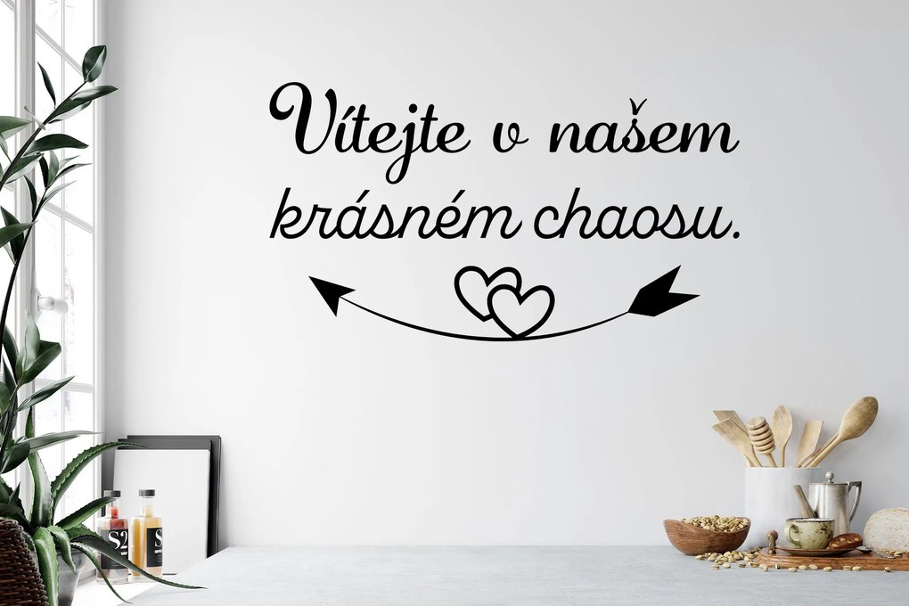 Samolepka na zeď Krásný chaos Barevná varianta: Černá, Velikost (šířka x výška): 35x20cm