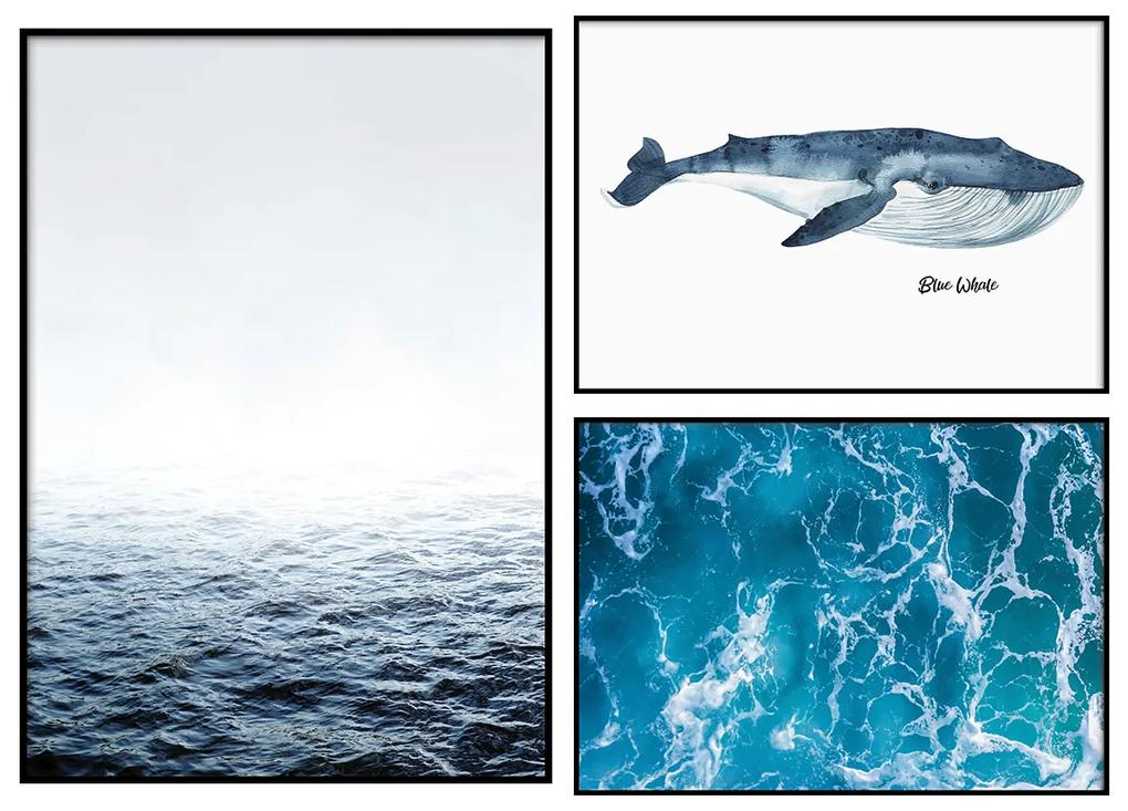 DecoKing - Sada nástěnných plakátů - Ocean