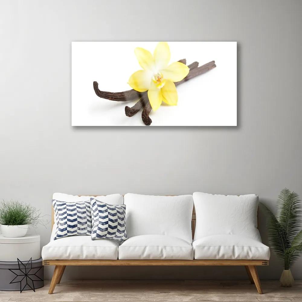 Obraz na skle Vanilka Rostlina Příroda 120x60 cm