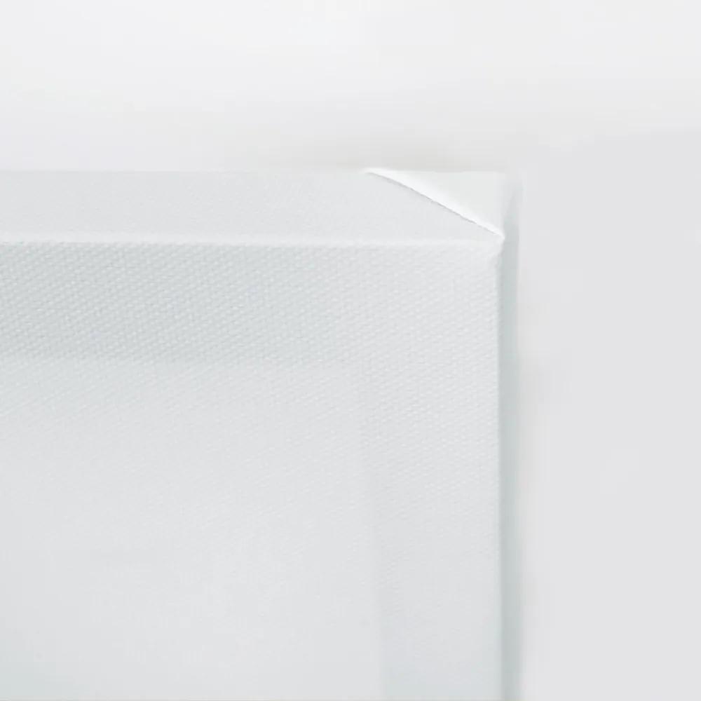 Gario Obraz na plátně Káva v bílém šálku Rozměry: 30 x 30 cm