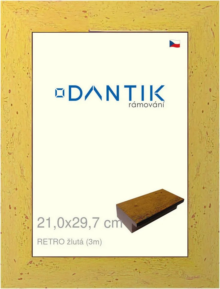 DANTIK rámeček 21x29,7 | RETRO žlutá (Sklo Čiré)