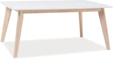 Konferenční stolek COMBO B 110x60 cm bílá/dub