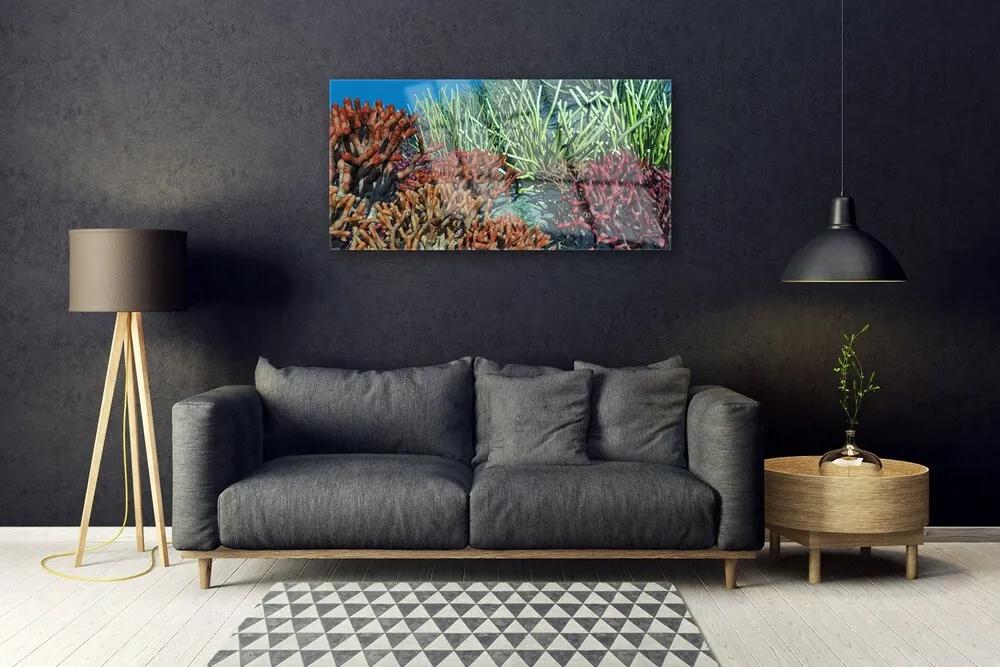 Obraz na skle Korálový Útes Příroda 125x50 cm