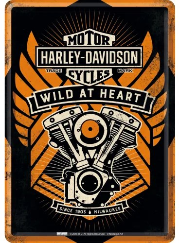 Postershop Plechová pohlednice - Harley-Davidson Wild at Heart