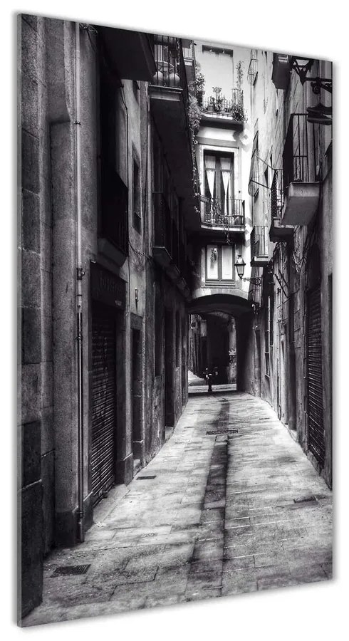Wallmuralia Foto obraz akryl do obýváku Barcelona Španělsko 60x120 cm