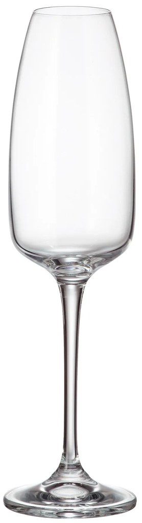 Crystalite Bohemia sklenice na šampaňské Anser 290 ml 6KS