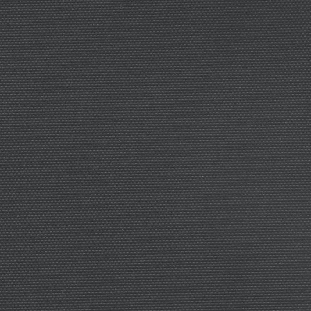 Zatahovací boční markýza černá 140 x 1 000 cm,  4004714