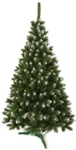 Vánoční stromek Borovice diamantová 160cm