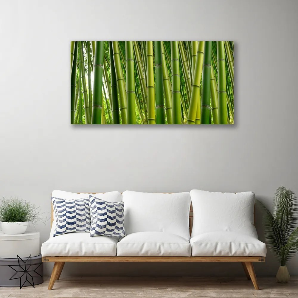 Obraz na plátně Bambusový Les Bambusové Výhonky 100x50 cm
