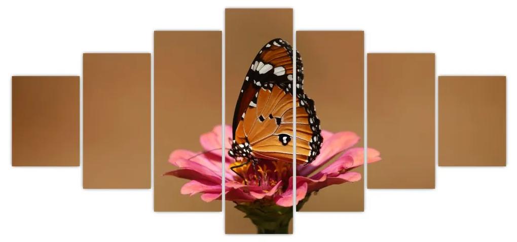 Obraz motýla na květině (210x100 cm)