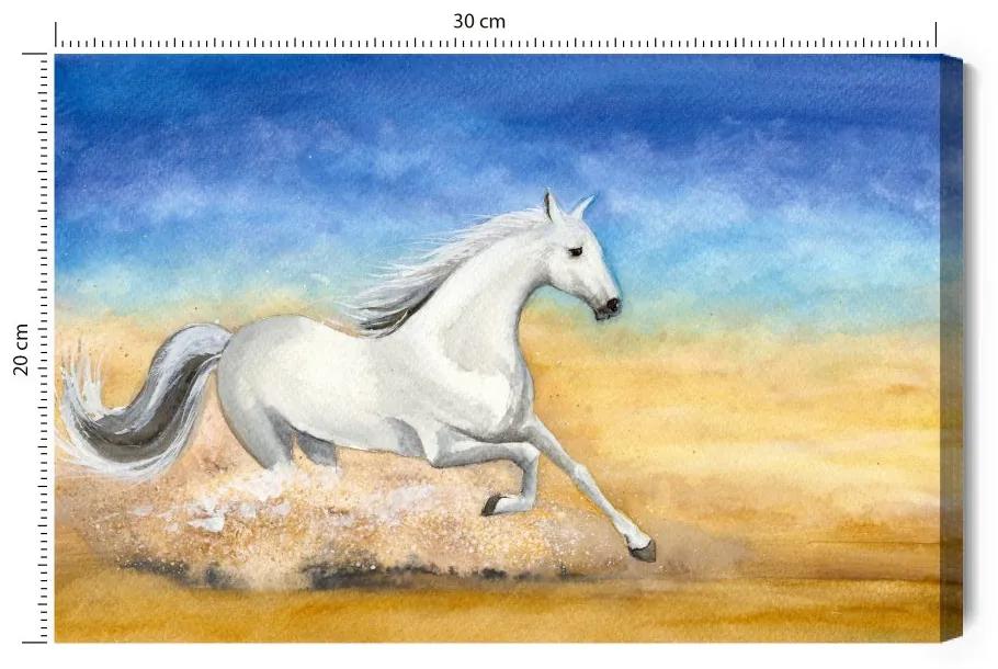 Obraz Kůň Cválající V Poušti Nedostatek Nedostatek Přírodní plátno 30x20