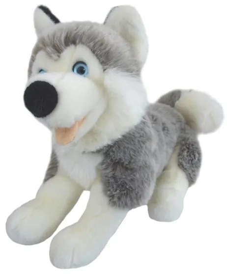 Plyšový husky ležící - 28 cm