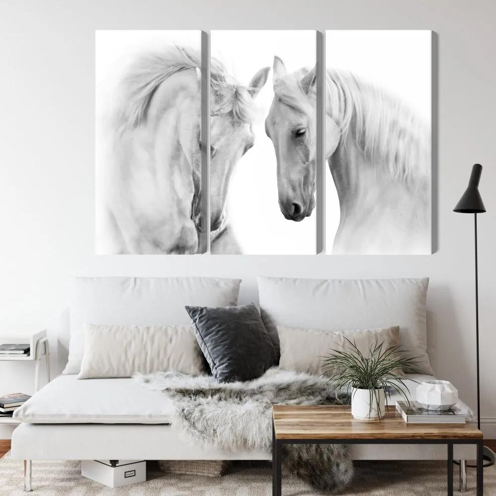 Vícedílný obraz Dva Koně Na Bílém Pozadí Nedostatek Nedostatek Přírodní plátno 150x100