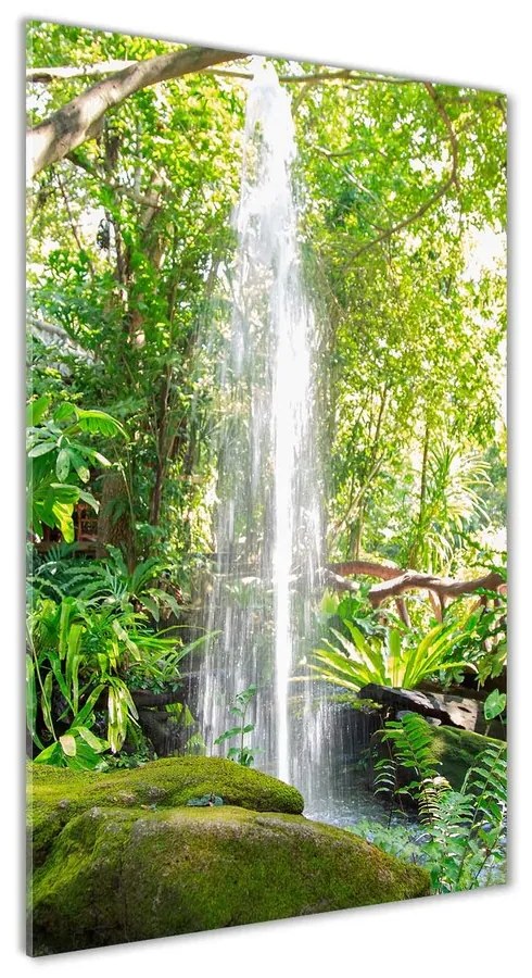 Wallmuralia Foto obraz akrylový Vodopád v džungli 60x120 cm