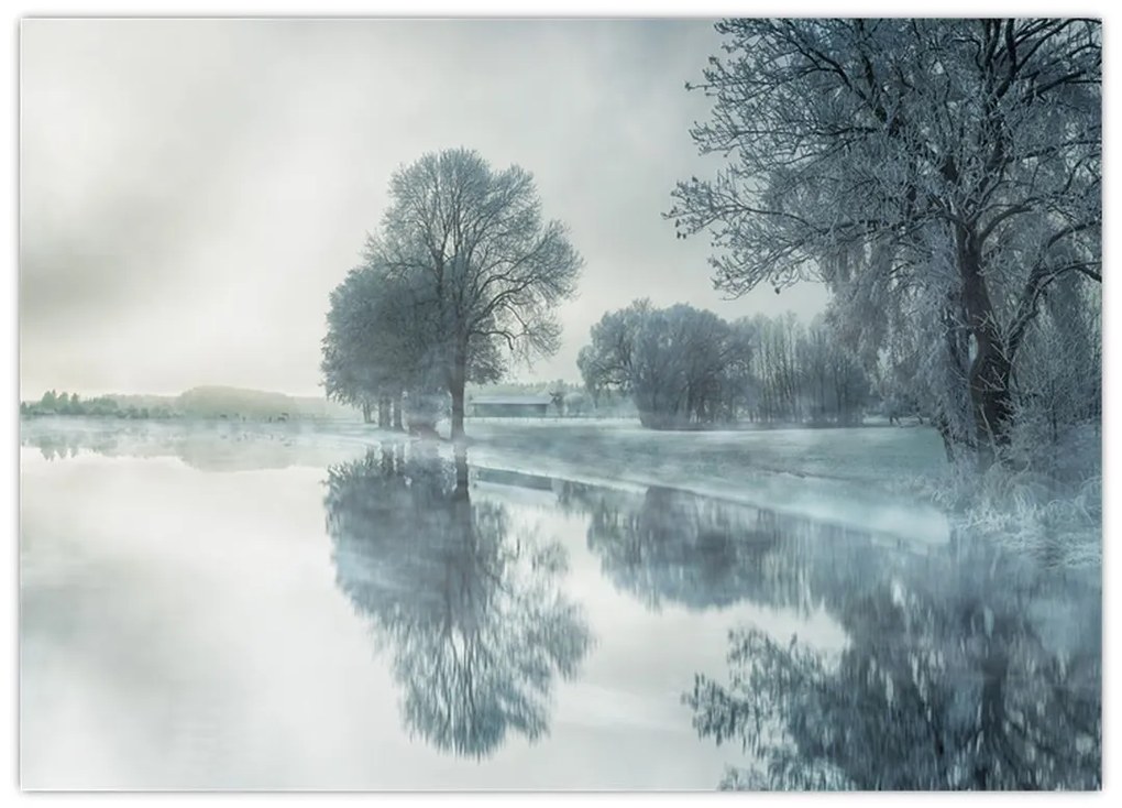 Skleněný obraz zimní přírody (70x50 cm)