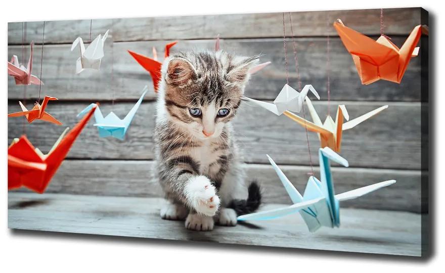 Wallmuralia Foto obraz na plátně Kočka ptáci z papíru 140x70 cm