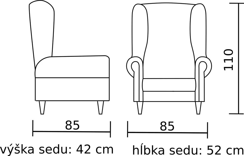 MELLI Křeslo ušák Andrej VARIANTA PROVEDENÍ: křeslo