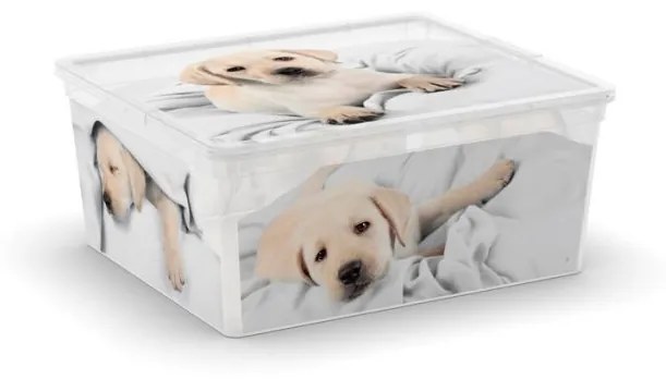 KIS Puppy and Kitten 57495 Plastový box - M