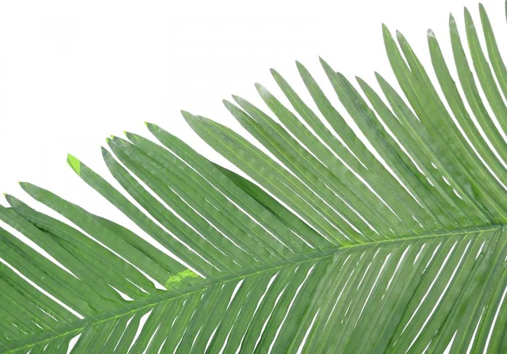 Umělá květina - Palma list - kokos královský (kus), 180 cm