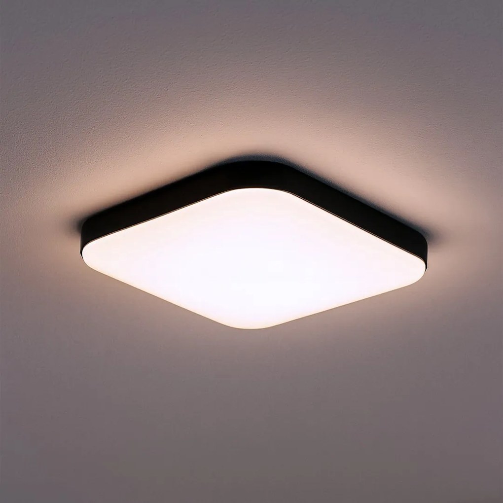 Stropní LED svítidlo Nemo, 1x LED 11w, 4000k, b