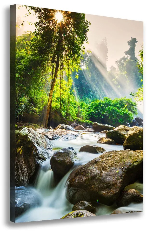 Wallmuralia Foto obraz na plátně Vodopád v lese 70x100 cm