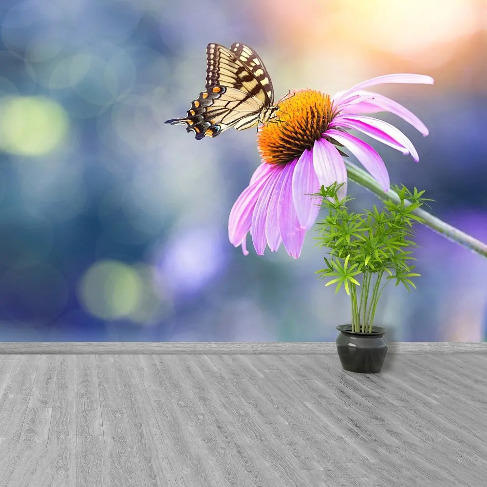 Fototapeta Echinacea Butterfly 104x70