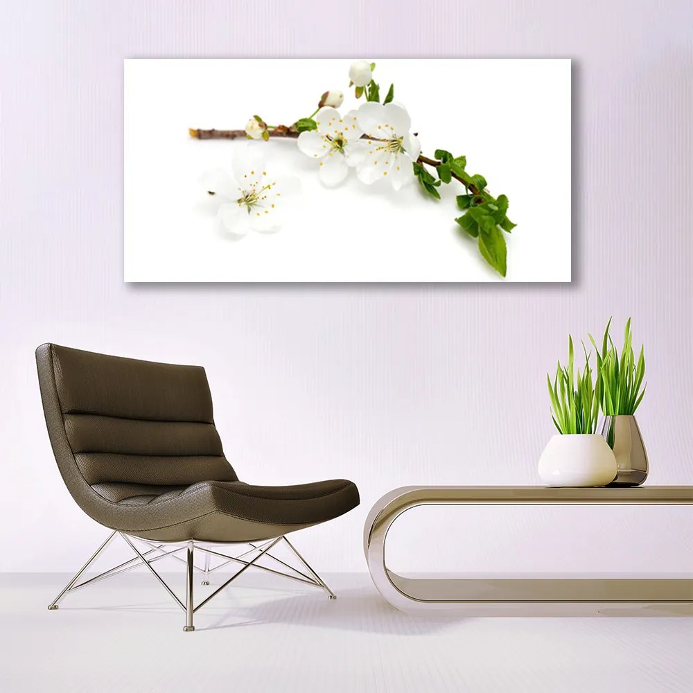 akrylový obraz Květ Větev Příroda 120x60 cm