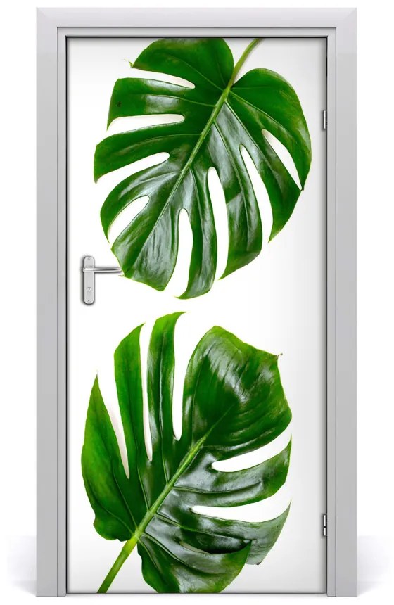 Fototapeta na dveře Monstera 85x205 cm