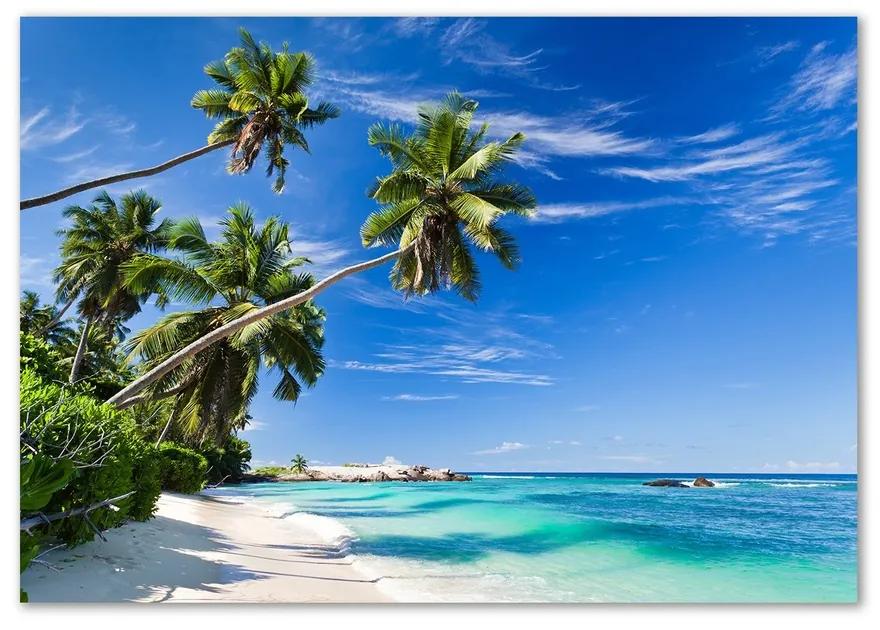 Wallmuralia Fotoobraz na skle Tropická pláž 100x70 cm
