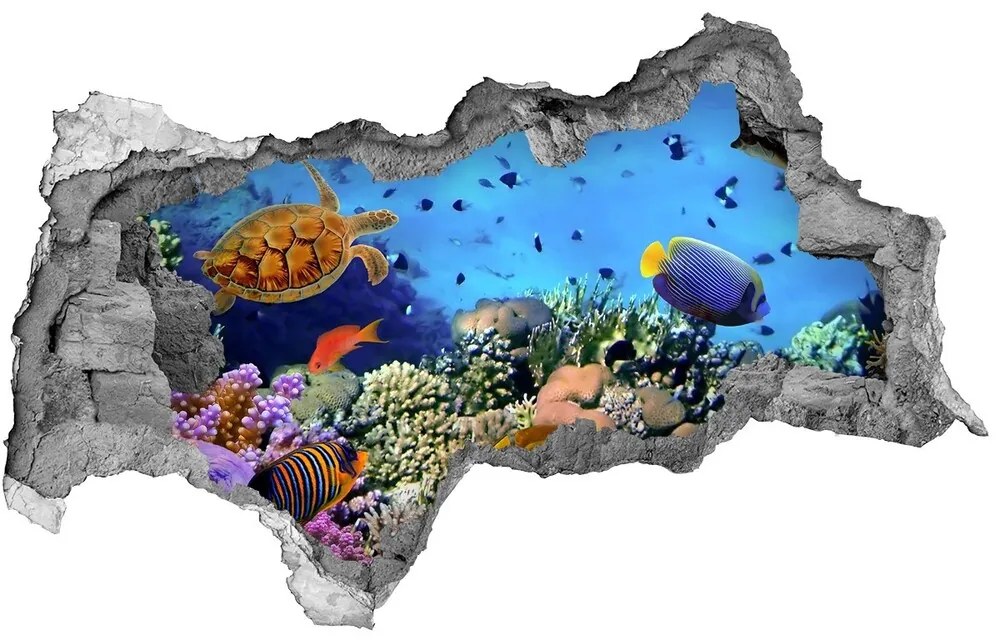 Wallmuralia Díra 3D fototapeta nálepka Korálový útes 95x73 cm