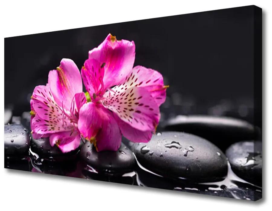 Obraz na plátně Květiny Kameny Zen Lázně 100x50 cm