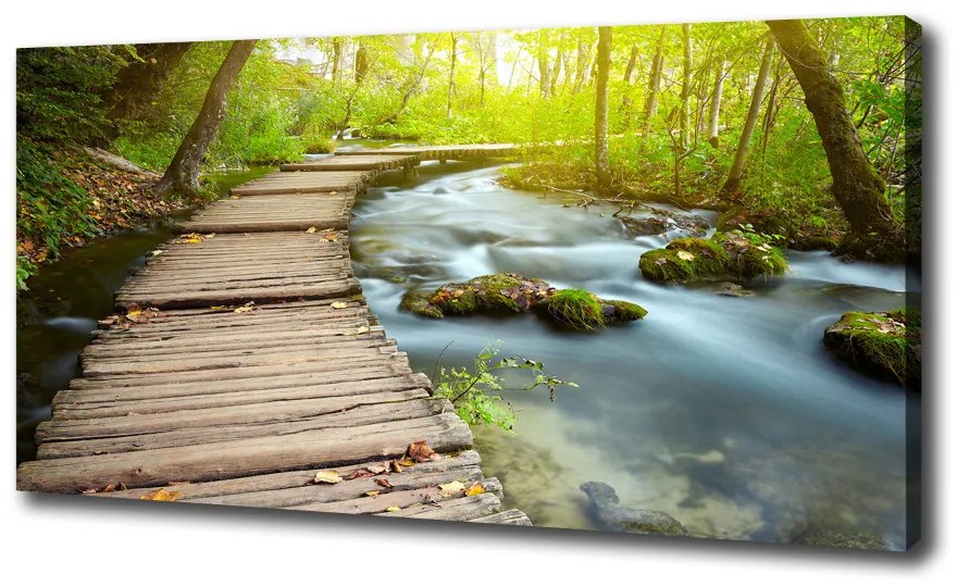 Wallmuralia Foto obraz na plátně Stezka nad řekou 100x50