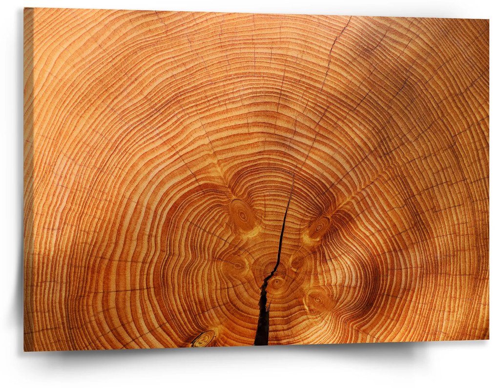 Obraz SABLO - Dřevo 2 150x110 cm