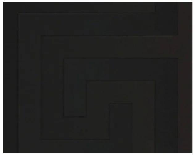 93523-4 tapety na zeď Versace | 0,70 x 10,05 m | černá