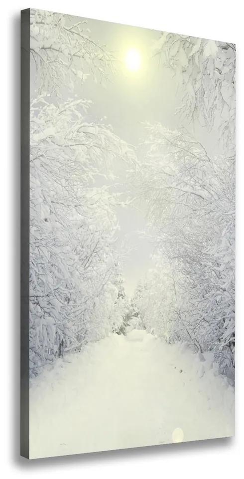 Wallmuralia Foto obraz na plátně do obýváku Les zima 50x100 cm