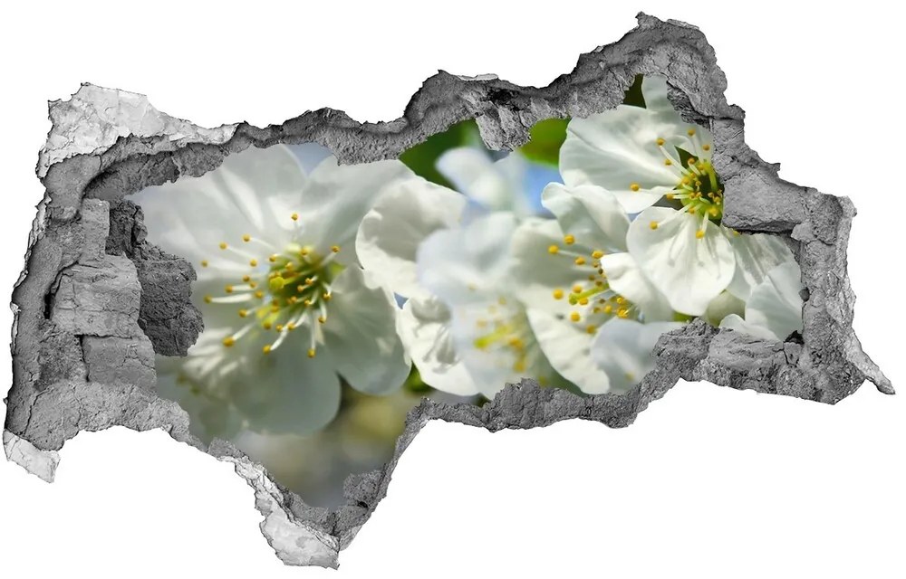 Wallmuralia Samolepící díra nálepka Květ višně 95x73 cm