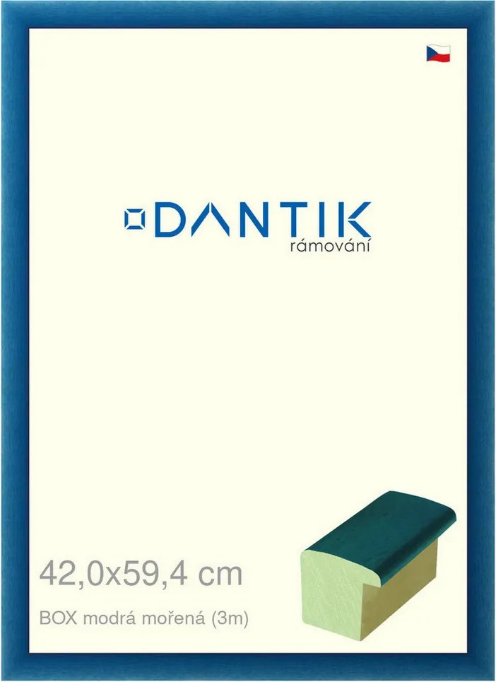 DANTIK rámeček 42x59,4 | BOX modrá mořená (Plexi Čiré)