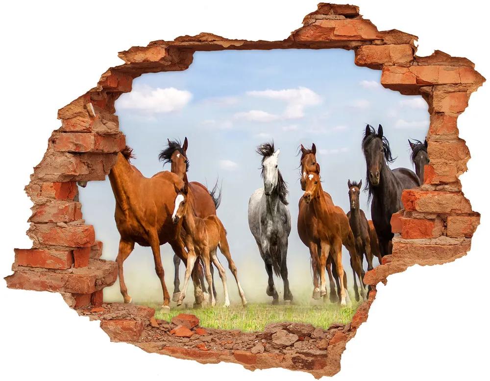 Wallmuralia Díra 3D fototapeta nálepka Koně ve cvalu 90x70 cm