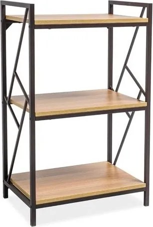 Casarredo - Komfort nábytek Policový regál TABLO R3, dub/kov