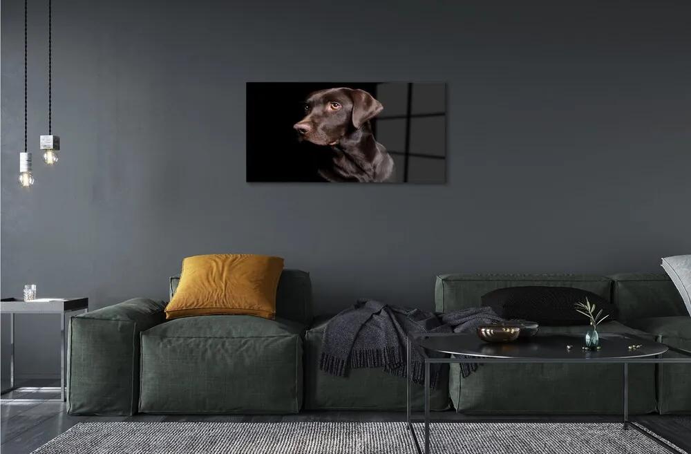 Obraz na skle hnědý pes 120x60 cm