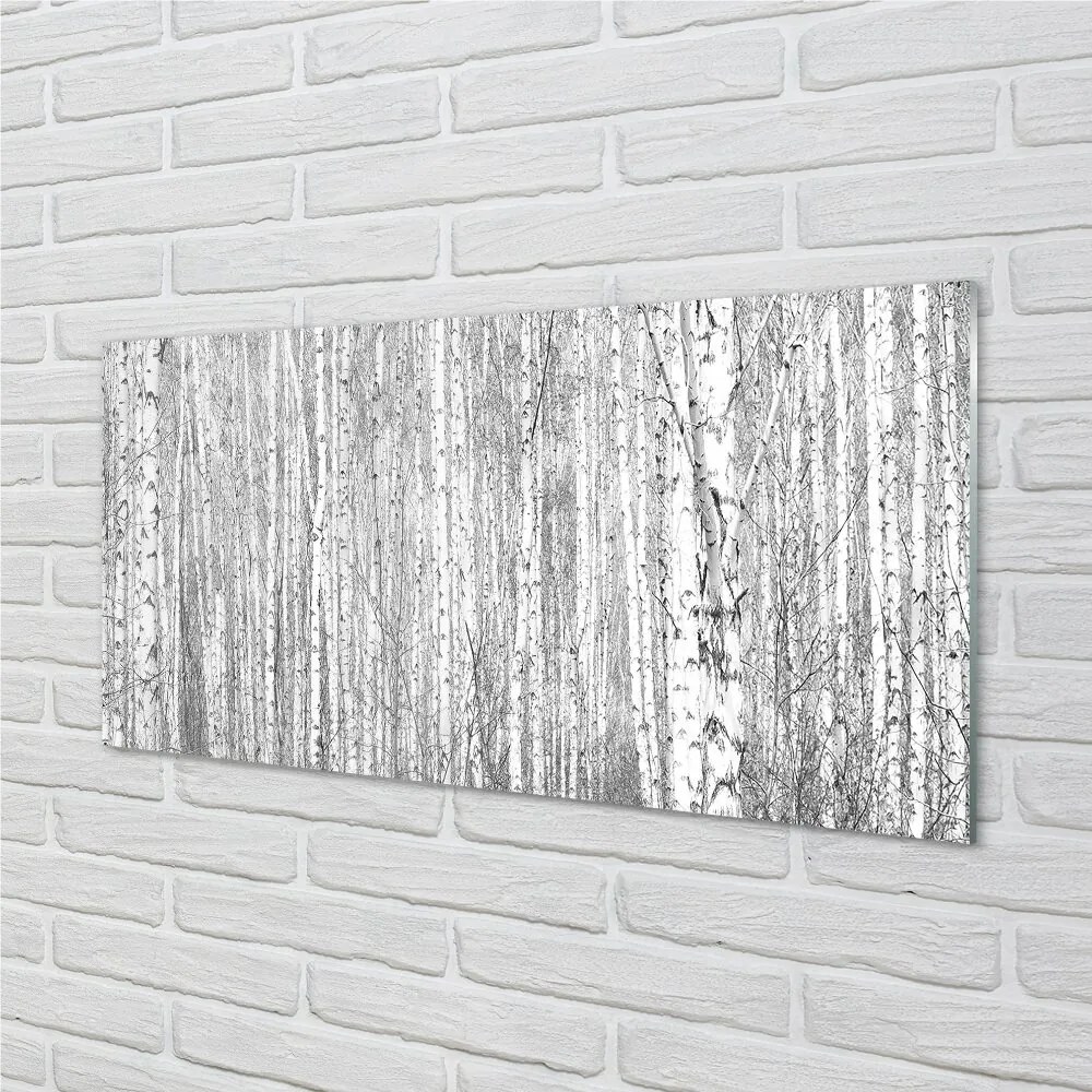 Obraz na skle Černá a bílá strom les 120x60 cm